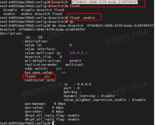 流量镜像到HCI，DSP-agent的虚拟机不接收流量-数据安全大脑DSP-深信服技术支持